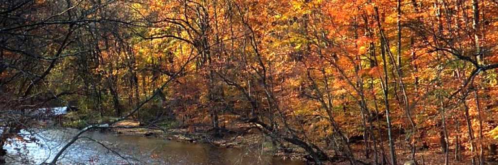 Bridgewater Recreation and Parks – Welcome!